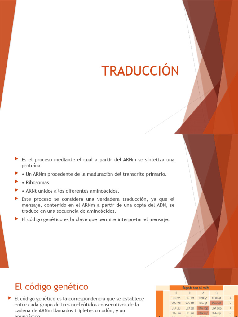 8 TRADUCCIÓN DEL ADN | PDF | Traducción (biología) | Codigo genetico