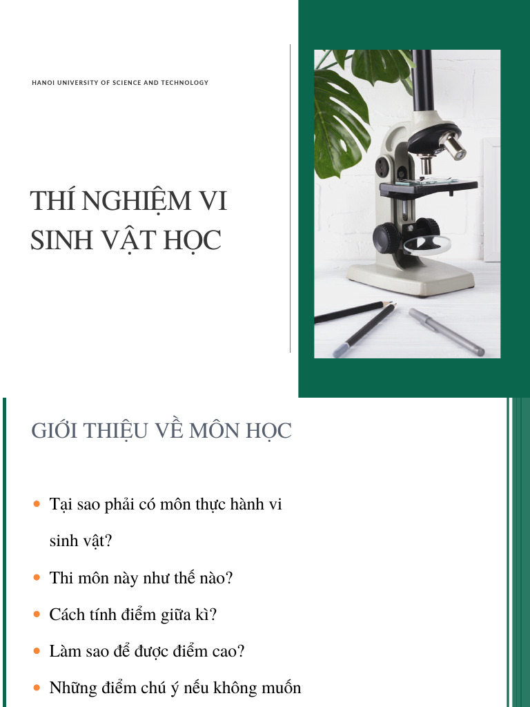 Thi Nghiem VSV | PDF