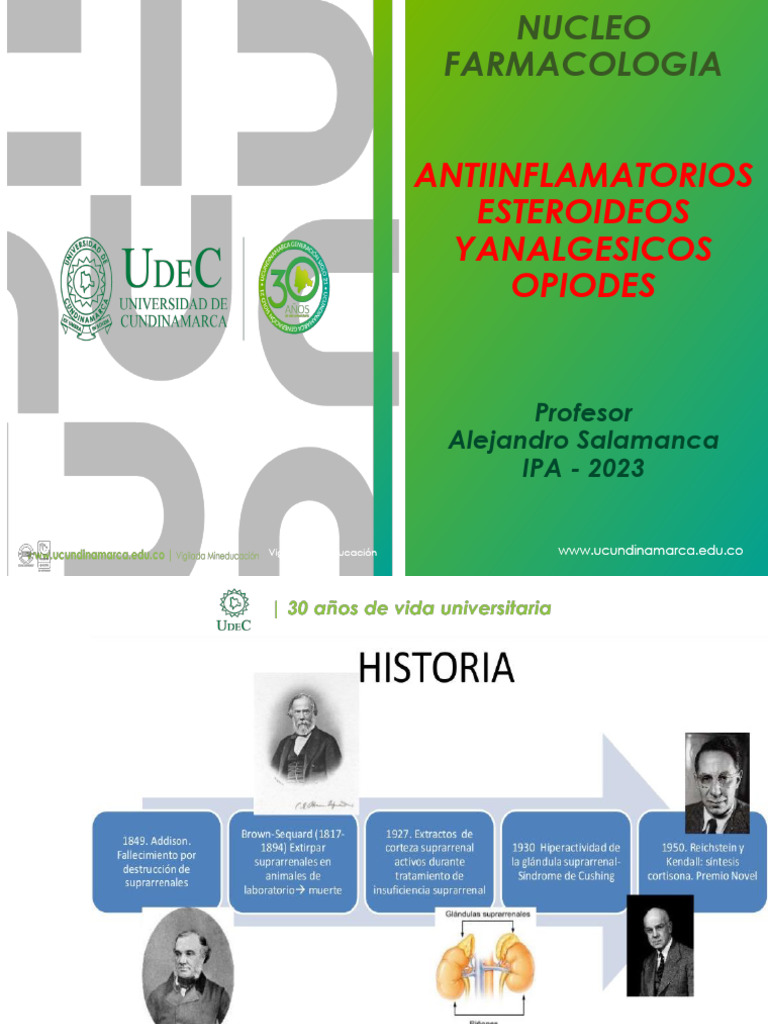 Clase Antiinflamatorios Esteroideos y Analgesicos Opides | PDF | Drogas ...