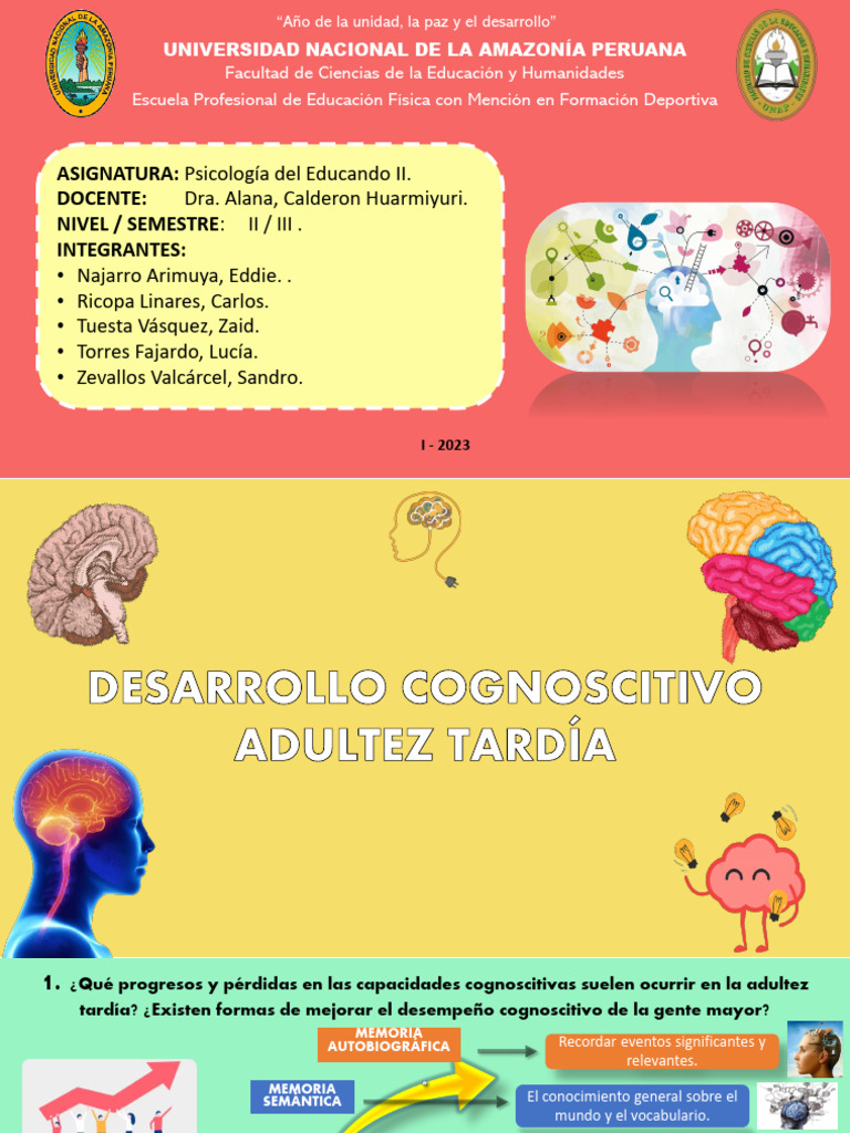 Adultez Tardía - D. Cognoscitivo | PDF | Memoria | Adultos