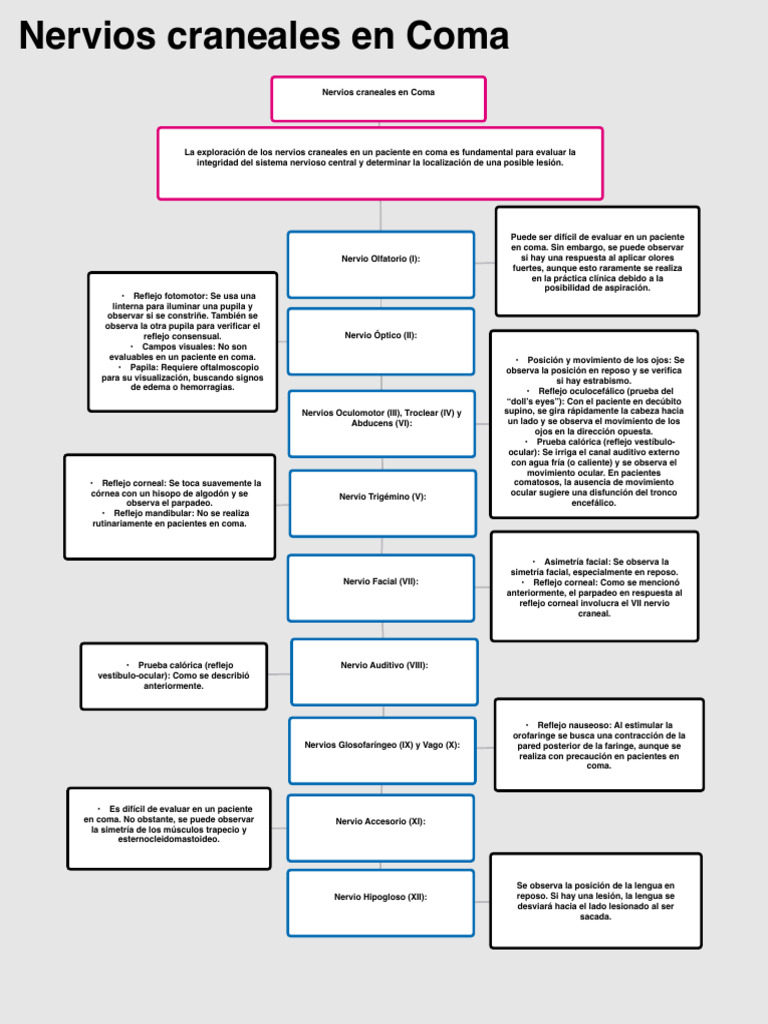 Nervios craneales en Coma | PDF | Coma | Nervio vago