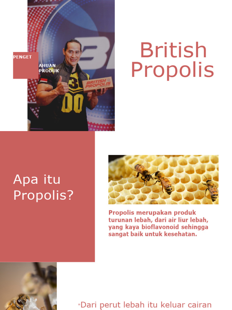 Manfaat dan Dosis British Propolis | PDF