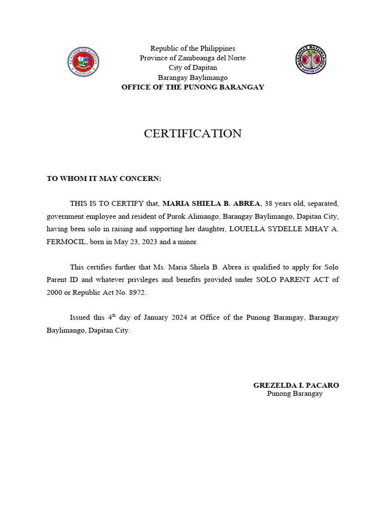 Solo Parent Certification for ID Application | PDF