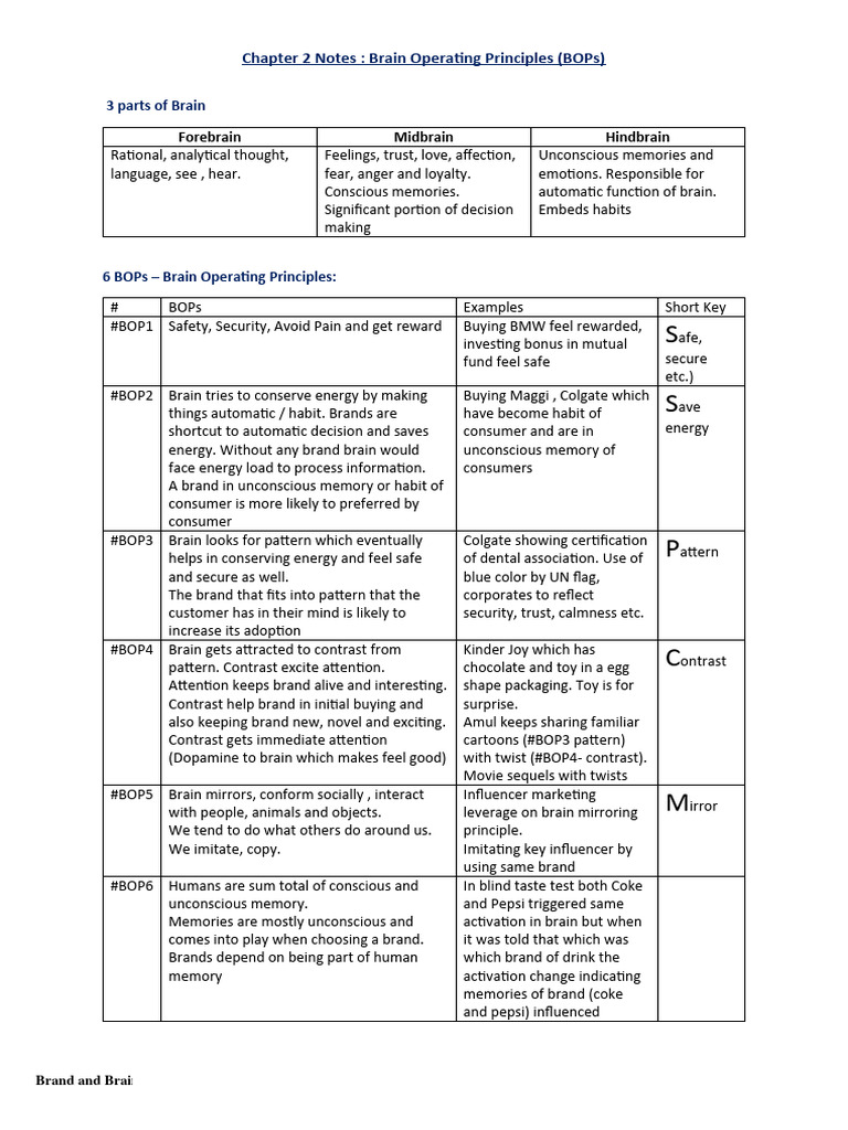 Chapter 2 Notes - Brain Operating Principles (#BOPs) | PDF | Brand | Brain