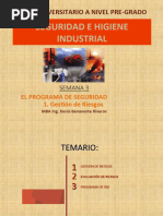 Carta de Valores de BHP | PDF | Riesgo | Valores