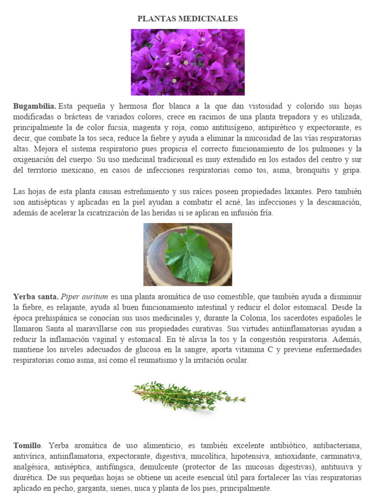 Plantas Medicinales Pdf Tos Medicina