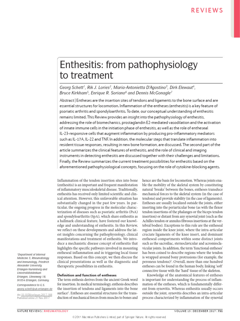 Enthesitis, From Pathophysiology 2017 | PDF | Bone | Mesenchymal Stem Cell
