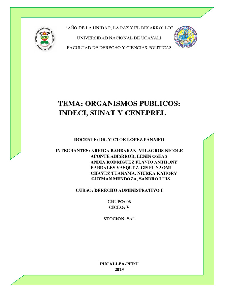 Admi 1 | PDF | Defensa Civil | Perú