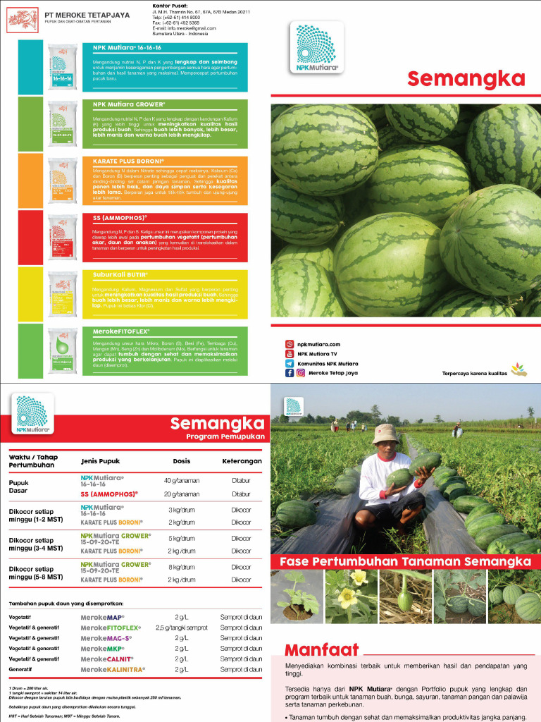 Program Pemupukan Semangka | PDF