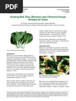 Pet Chay | PDF | Plants | Horticulture