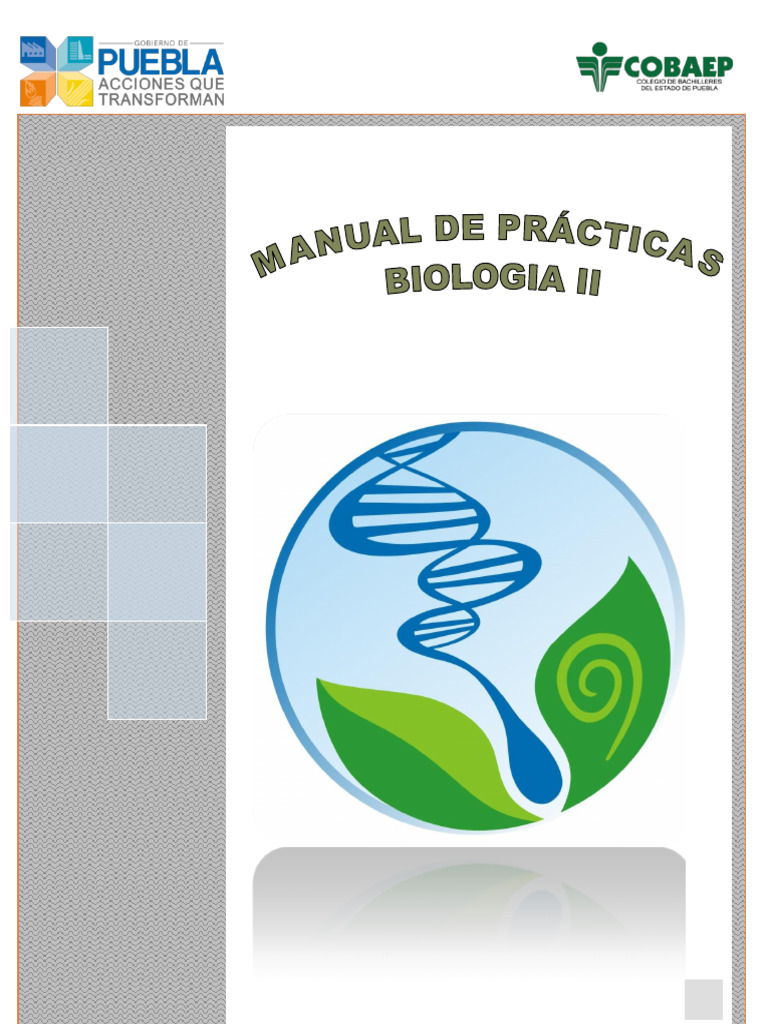 Manual de Prácticas de Ciencias Naturales | PDF | Corazón | Ventrículo ...