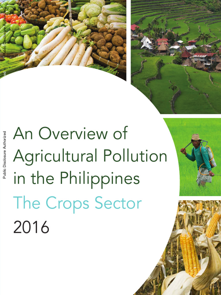WP P153343 PUBLIC Philippines Crops 2 | PDF | Fertilizer | Agriculture