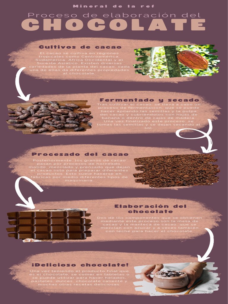 Infografía Proceso de Elaboración Del Chocolate 7 de Julio Día Mundial ...