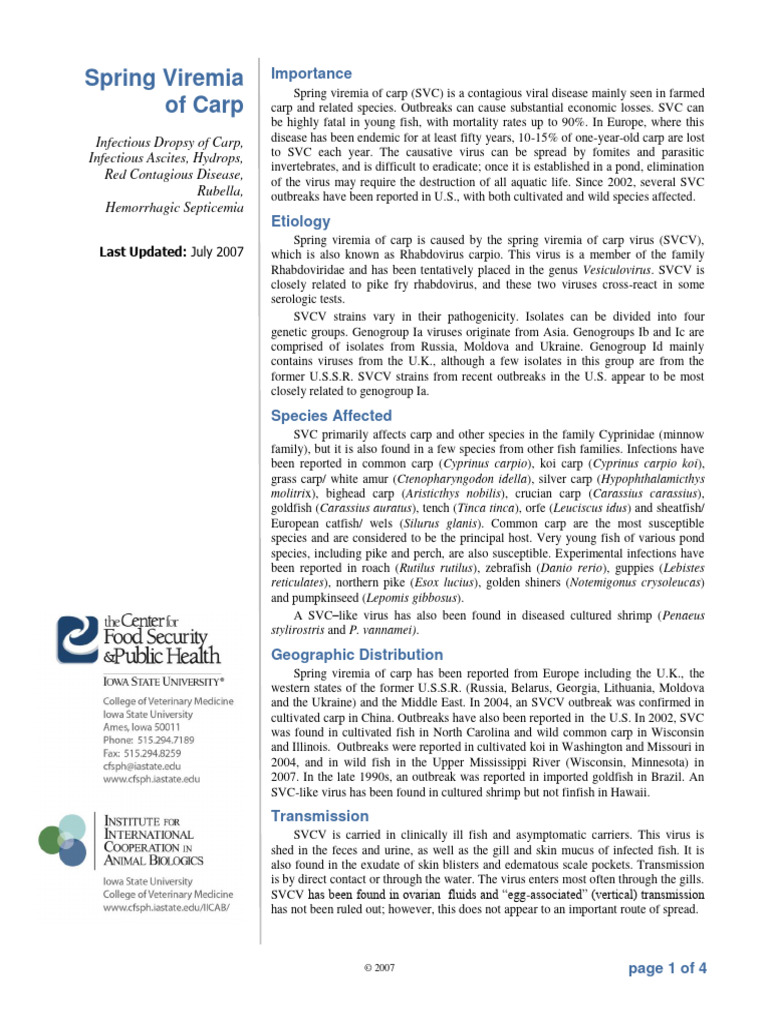 Spring Viremia of Carp | PDF | Infection | Virus