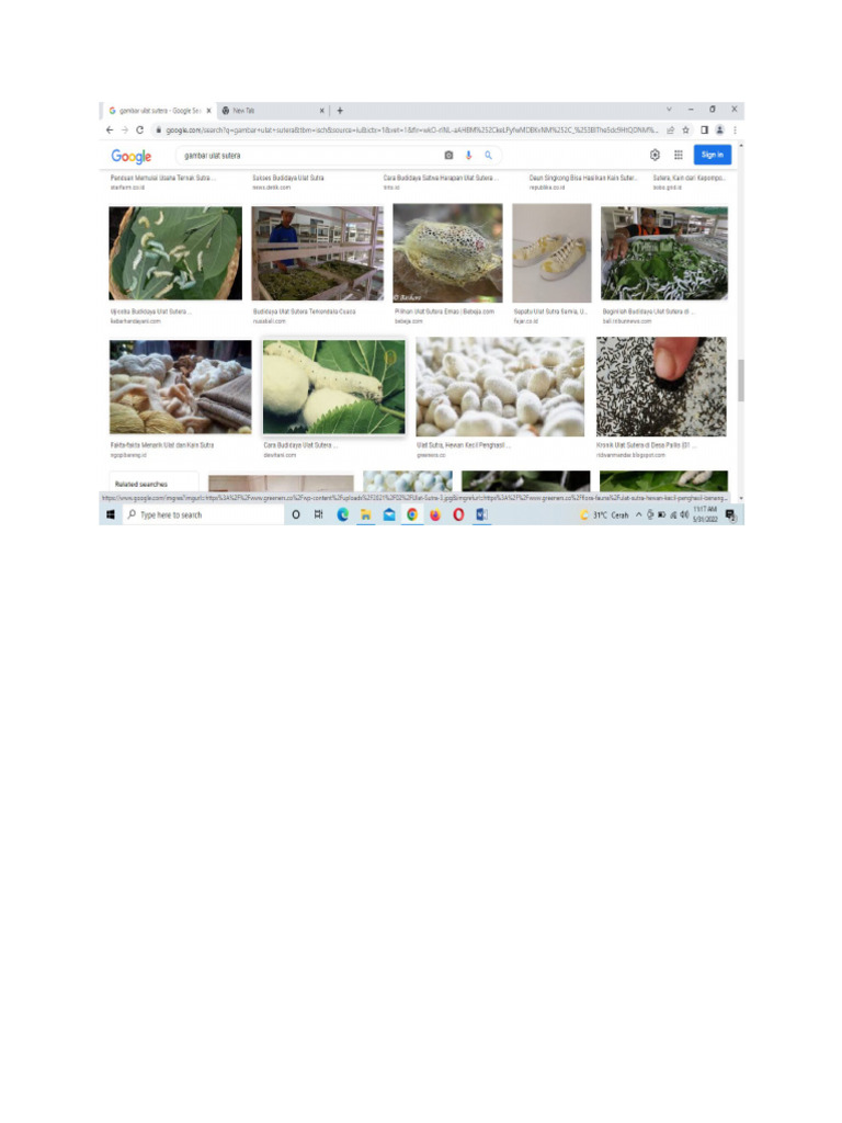 GMBR Ulat Sutera | PDF