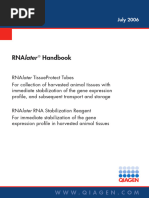 REVISION WORKSHEET ON DIGESTIVE SYSTEM-Gr 6 | PDF | Digestion | Human ...