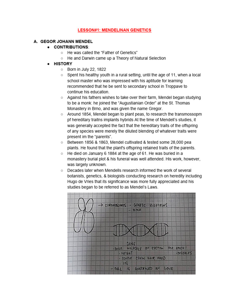 Lesson#1 - Mendelinan Genetics | Download Free PDF | Genotype | Dominance (Genetics)