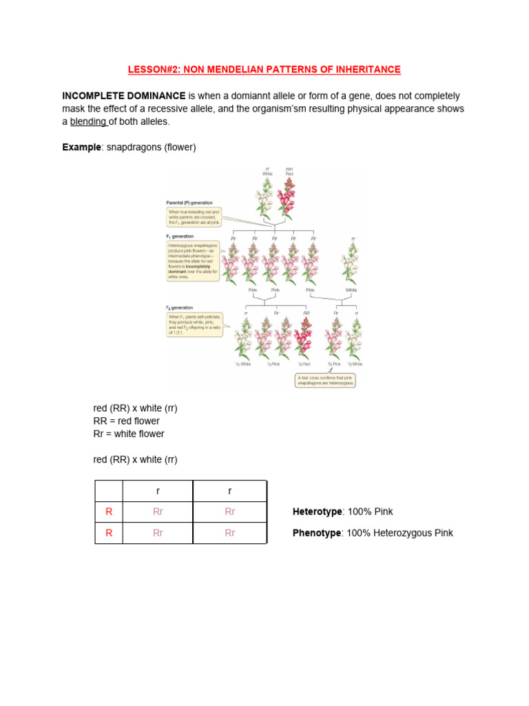 Lesson#2 - Non Mendelian Patterns of Inheritance | PDF | Dominance ...