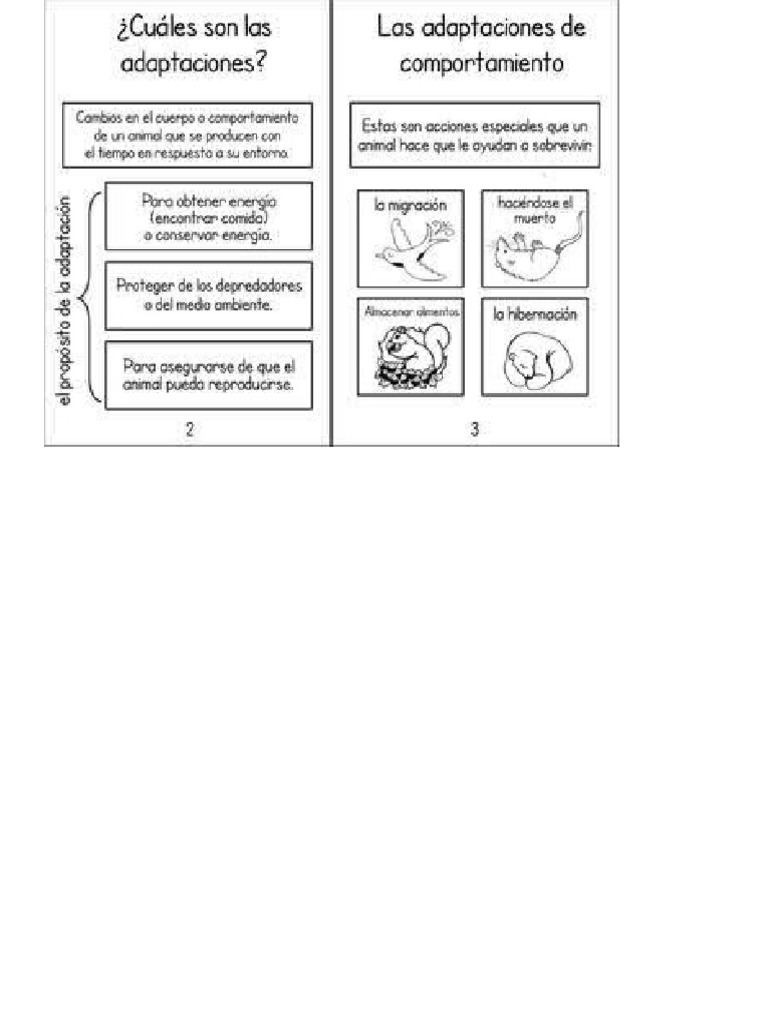 Adaptaciones de Los Animales | PDF