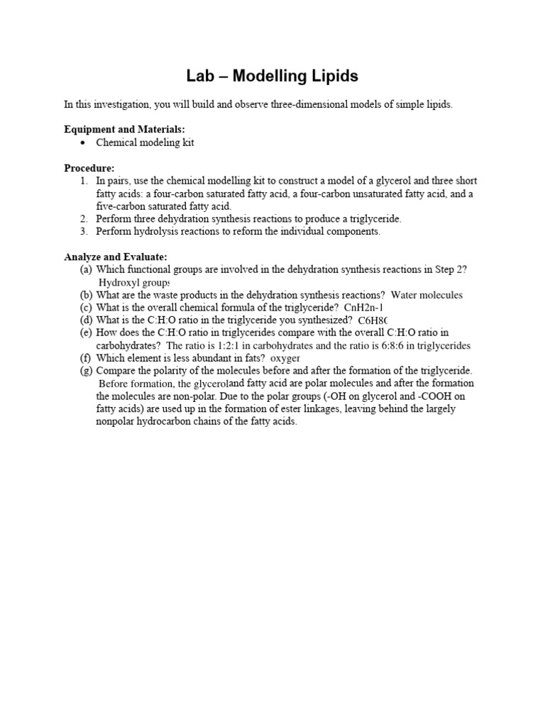 Lab - Modelling Lipids | PDF | Science & Mathematics