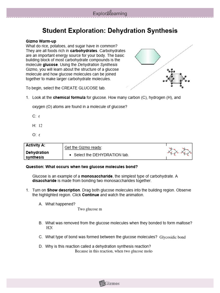 Dehydration Synthesis | PDF | Carbohydrates | Glucose