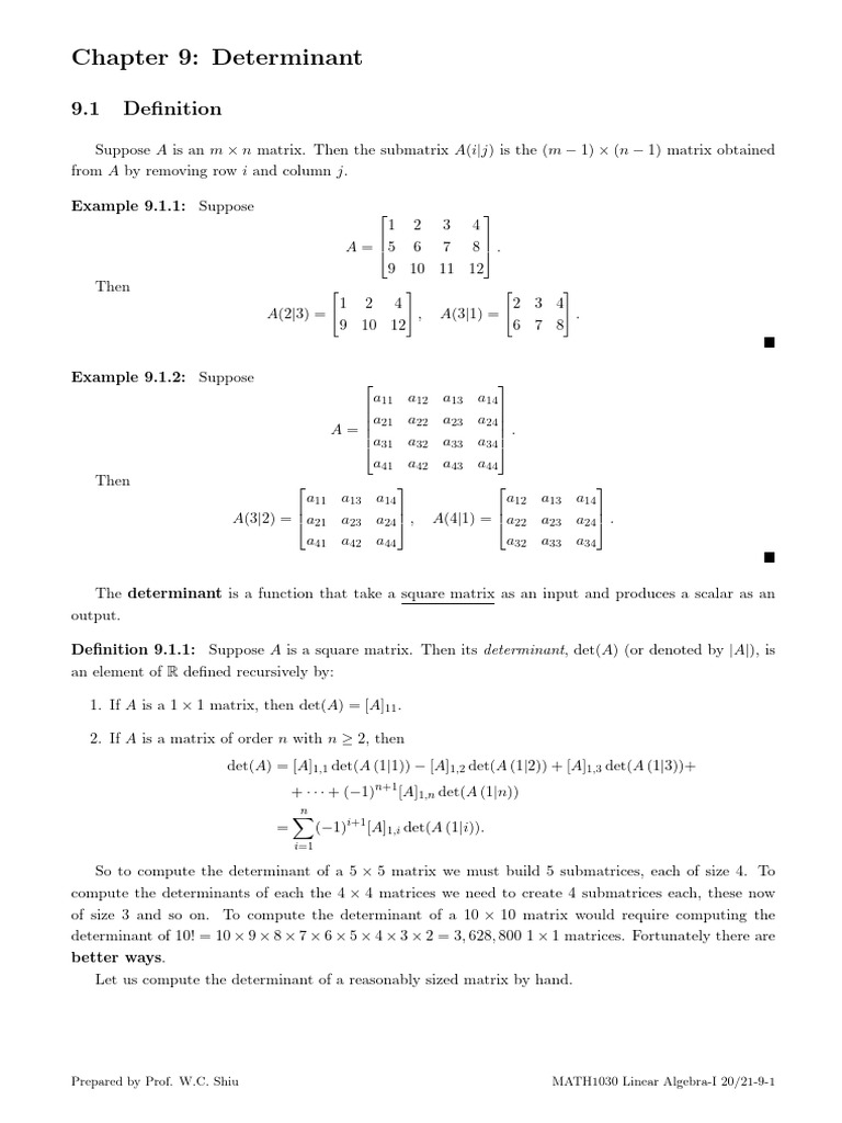 MATH1030 CH 9 | PDF | Matrix (Mathematics) | Determinant