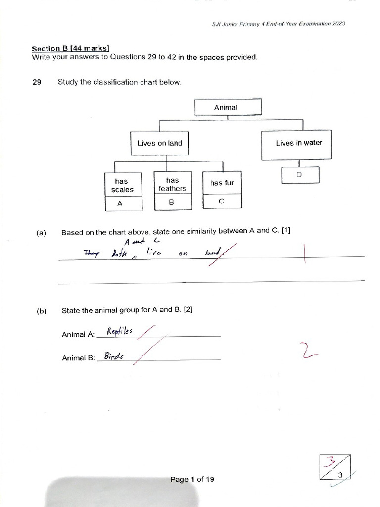 Booklet B | PDF