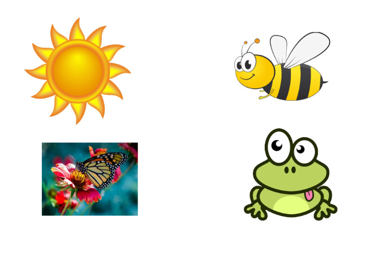 Accroche Les Mots en - Il Ou - Ille À Projeter | PDF