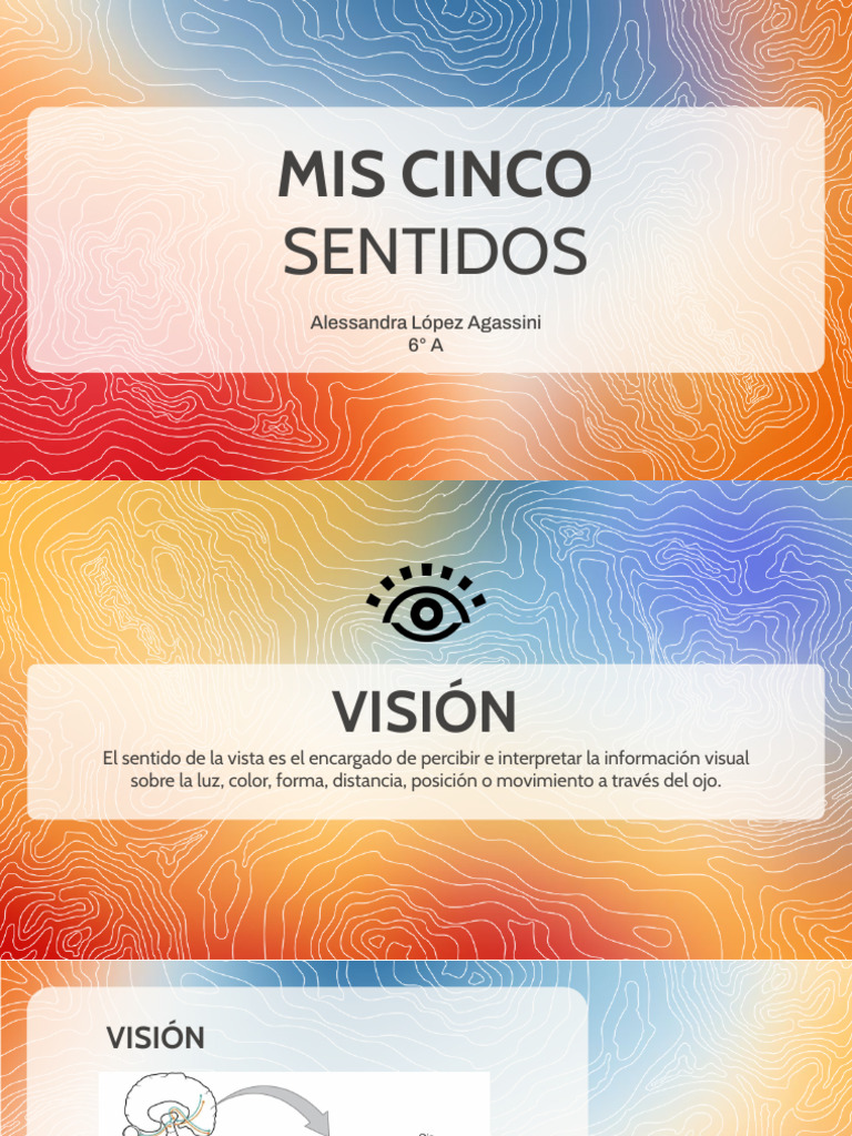 Mis Cinco Sentidos | PDF | Cerebro | Gusto