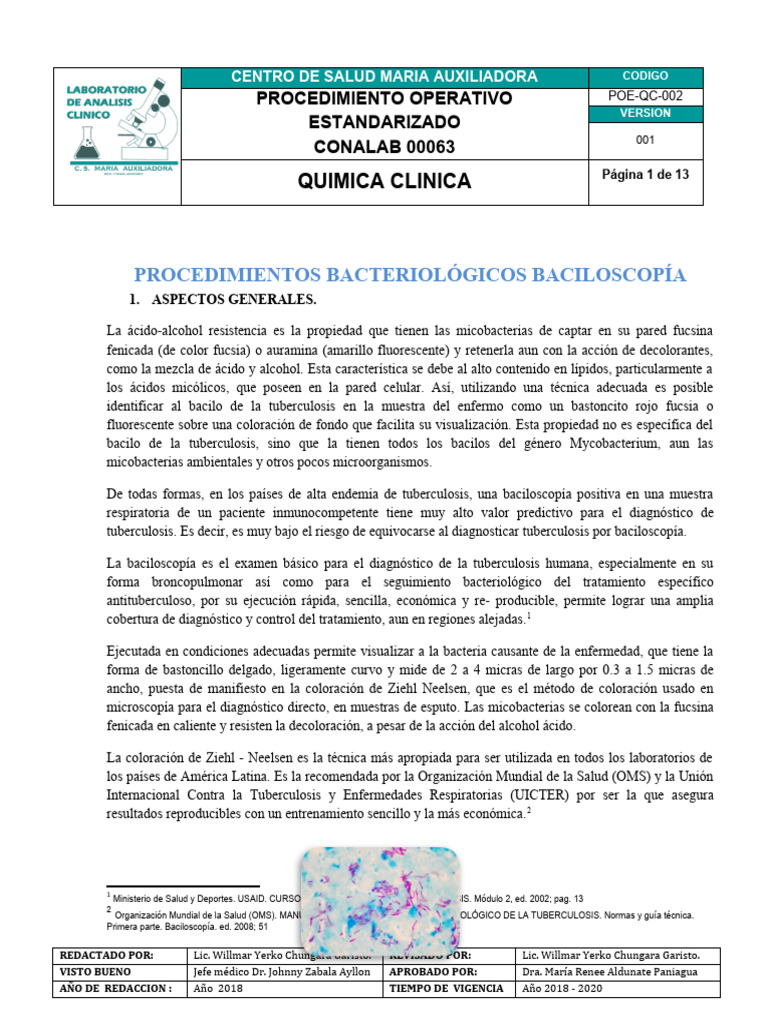 Procedimiento de Baciloscopía | PDF | Tuberculosis | Mycobacterium