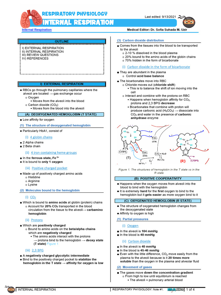 Internal Respiration Atf | PDF | Hemoglobin | Blood
