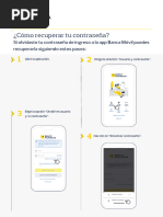 Guía Recuperación de Usuario y Contraseña | PDF | Contraseña | Telecomunicaciones