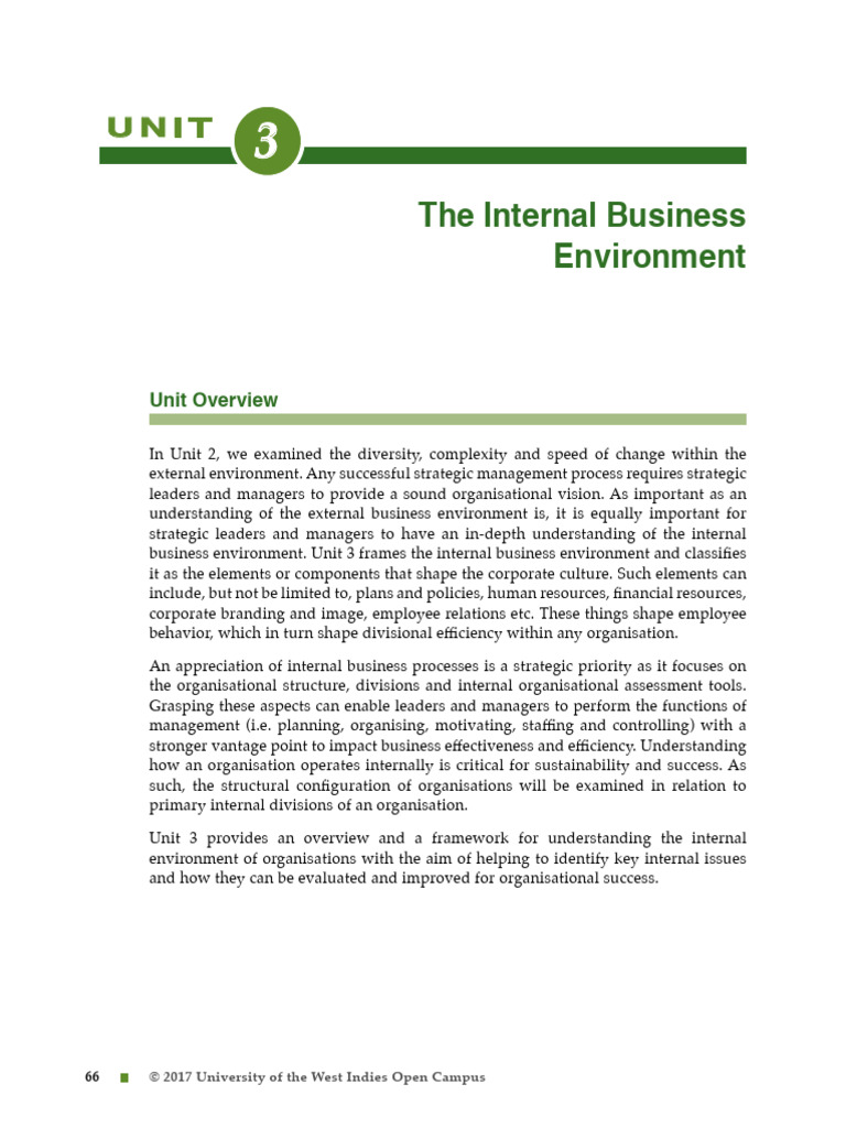 Understanding Internal Business Environment | PDF | Strategic ...