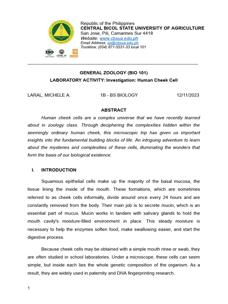 Zoology Lab Report - Observing Cheek Cell | PDF | Staining | Microscope