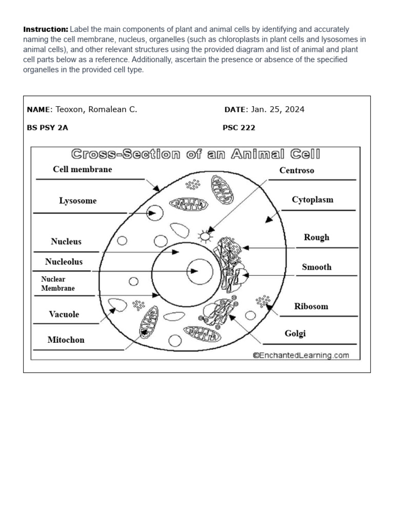 PSC22 Activity-1 | PDF