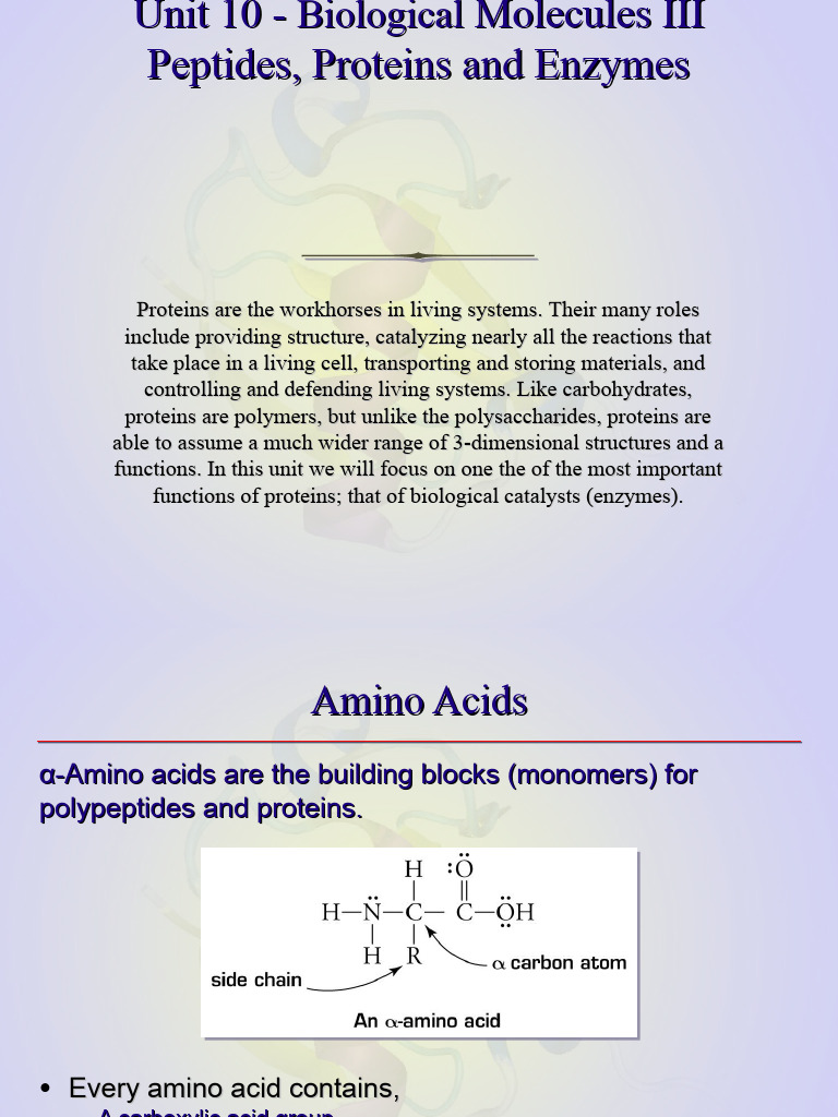 Unit 10 Peptides Proteins EnzymesClick | PDF | Acid | Proteins