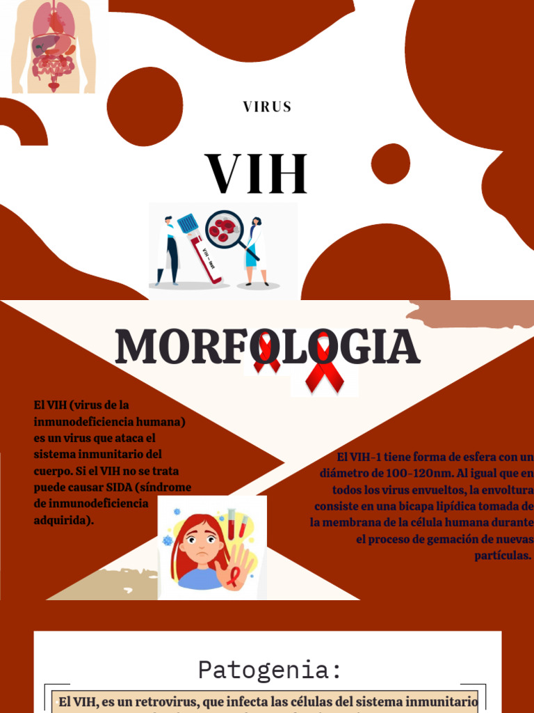 Presentacion Escolar Juvenil Celeste | PDF | VIH | Virus