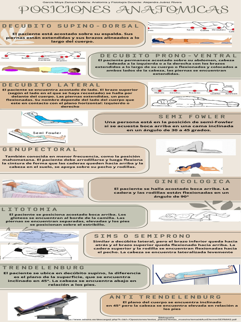 Infografía Posiciones Anatomicas-1 | PDF | Rodilla