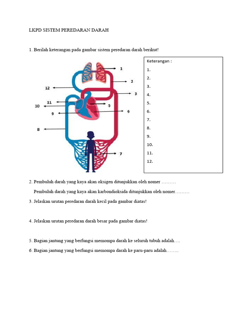 LKPD Sistem Peredaran Darah | PDF