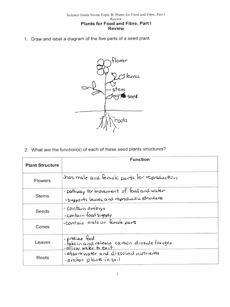 Science 7 Unit B Review | PDF