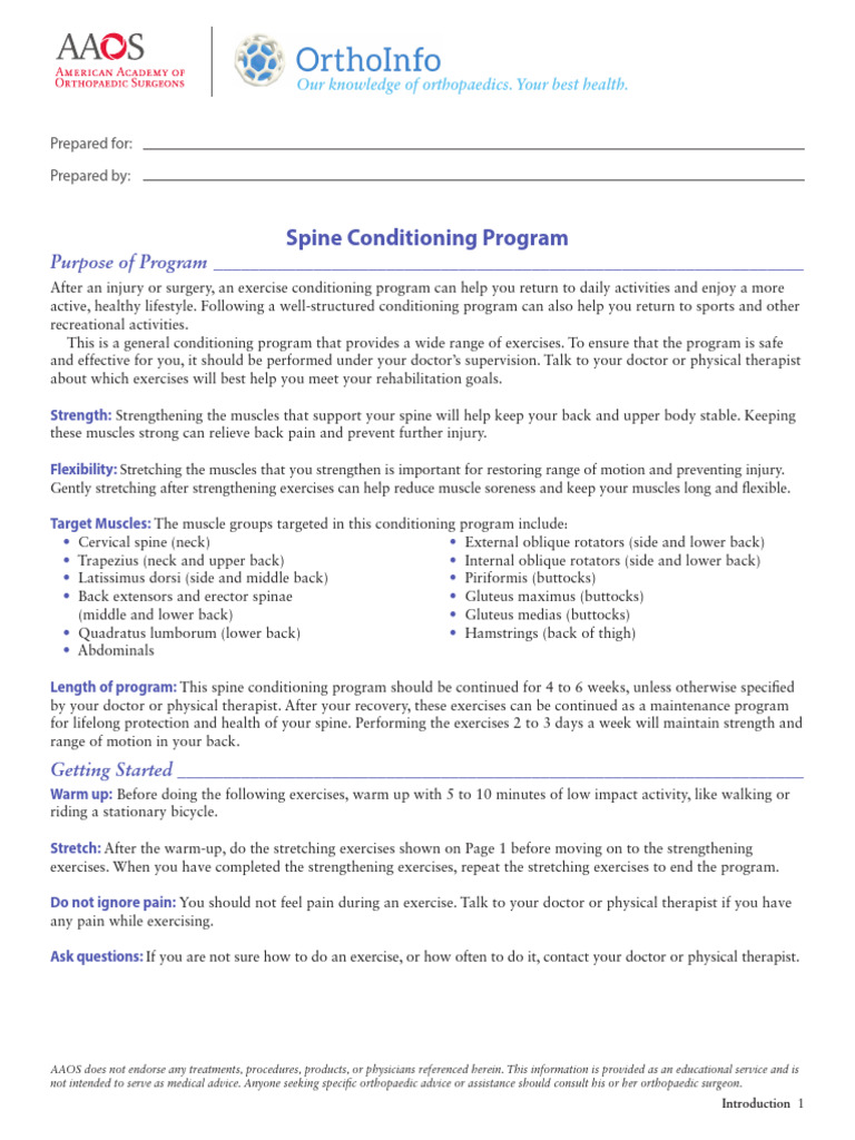 Spine Conditioning Program | PDF | Orthopedic Surgery | Abdomen