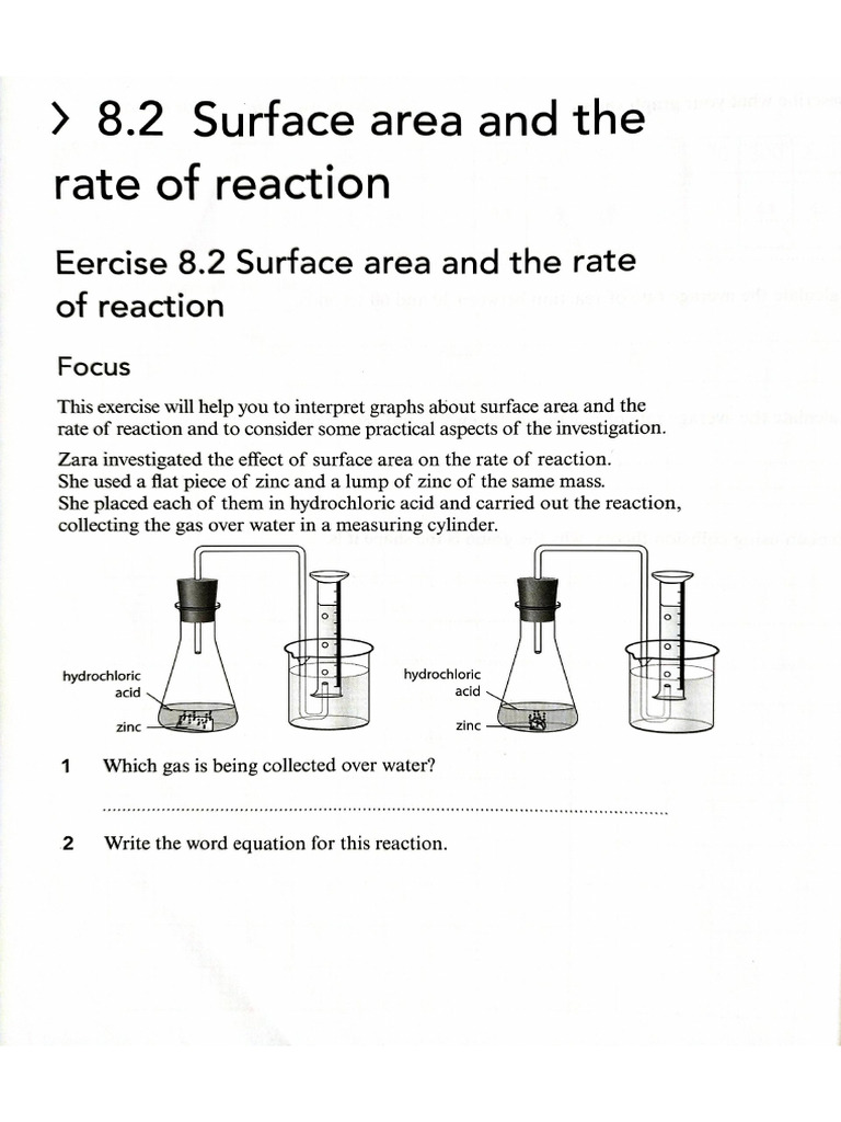 Rate Reaction Exercise | PDF