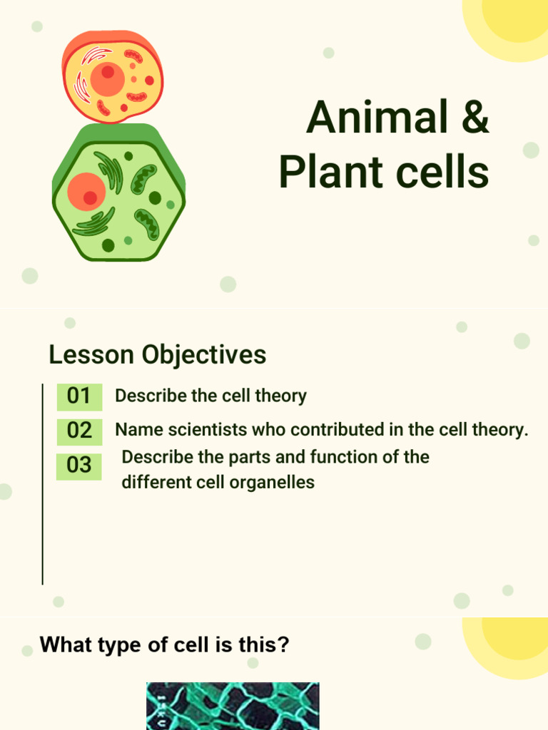 Cell Lec-2023 | PDF