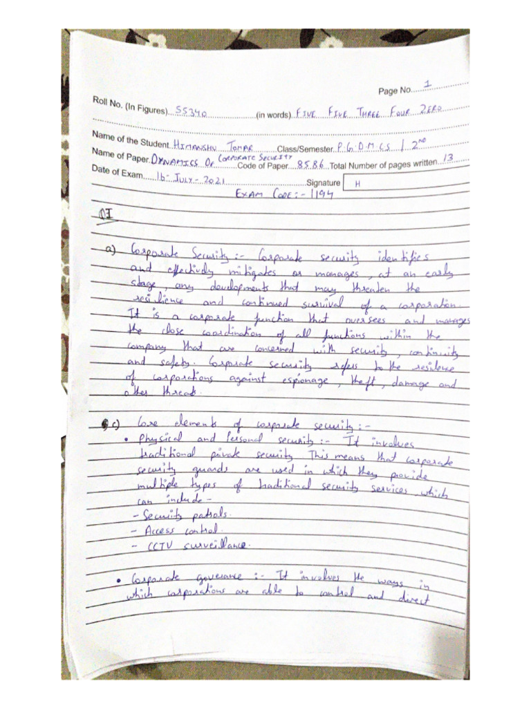 Corporate Security Notes | PDF