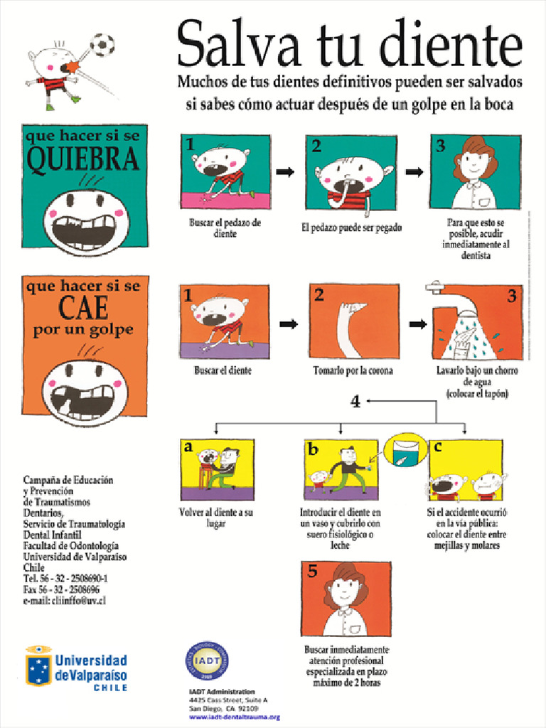 Save Your Tooth. IADT POSTER | PDF