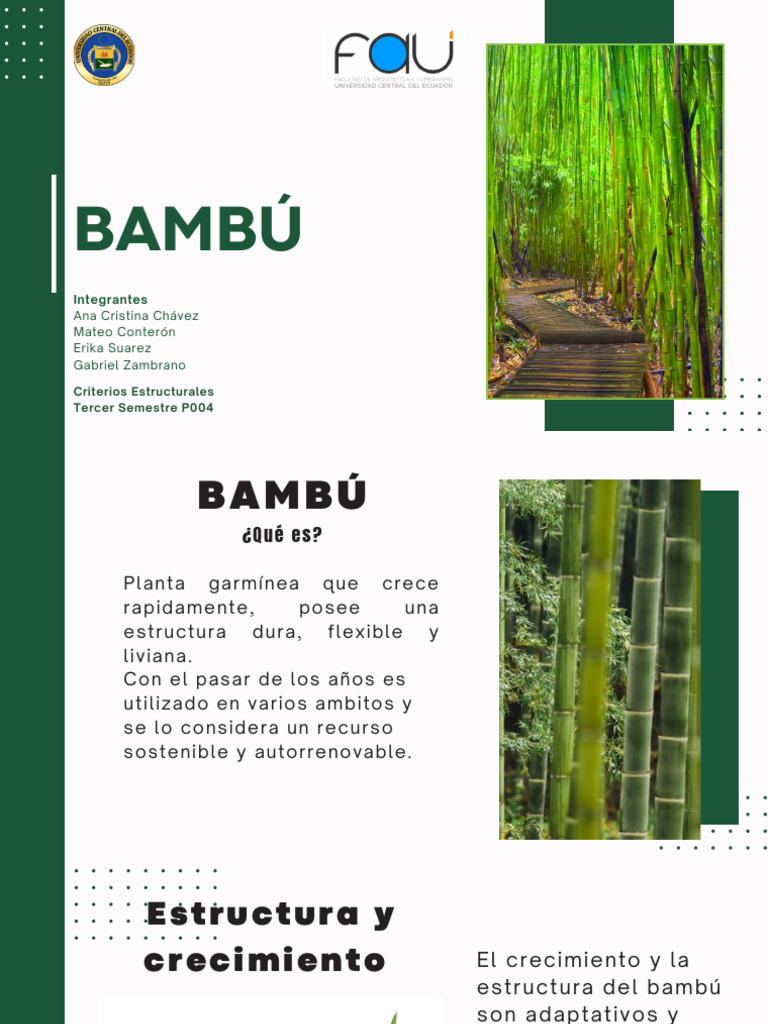 Bambú: Material Sostenible y Versátil | PDF | Entorno natural ...