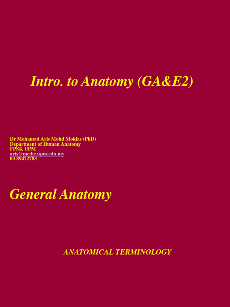 GA&E 2 - Intro To Anatomy | Download Free PDF | Anatomical Terms Of ...