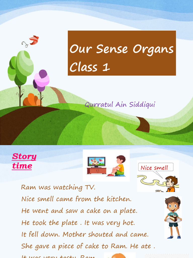 Sense Organs for Class 1 Activities | PDF | Taste | Senses