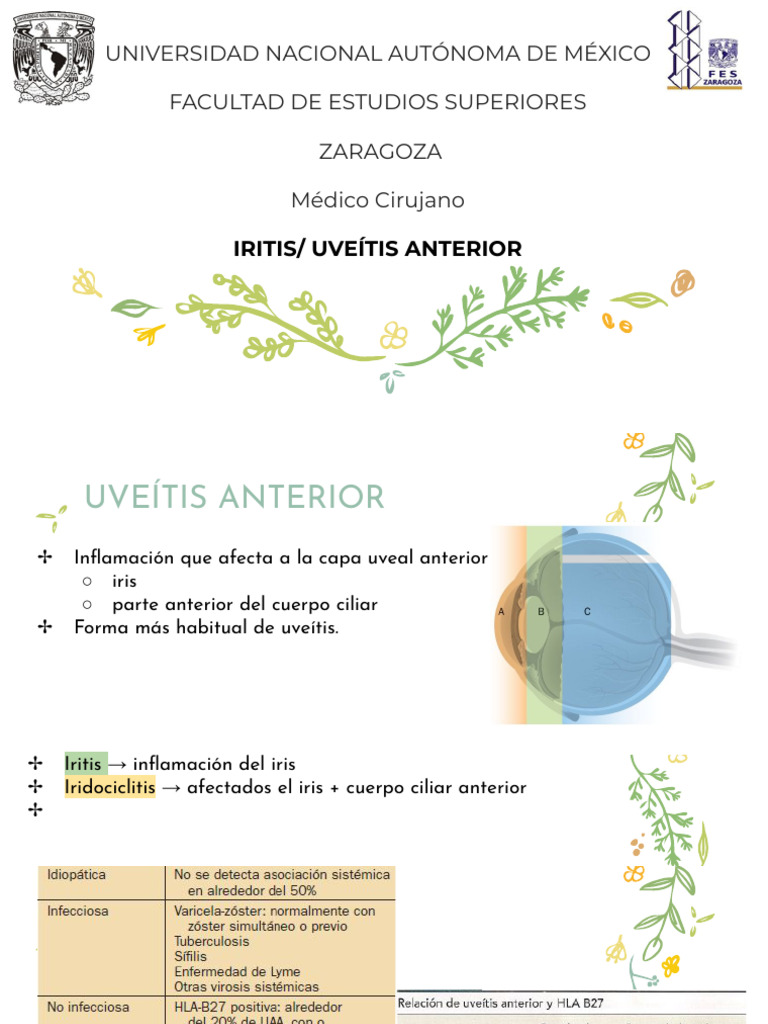 Iritis y Uveítis Anterior: Diagnóstico y Tratamiento | PDF ...