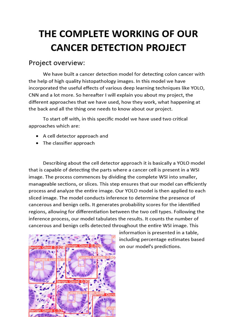 The Complete Working of Our Cancer Detection Project | PDF | Benign ...